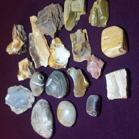 Accents | Petrified Wood Rock Bundle | Poshmark